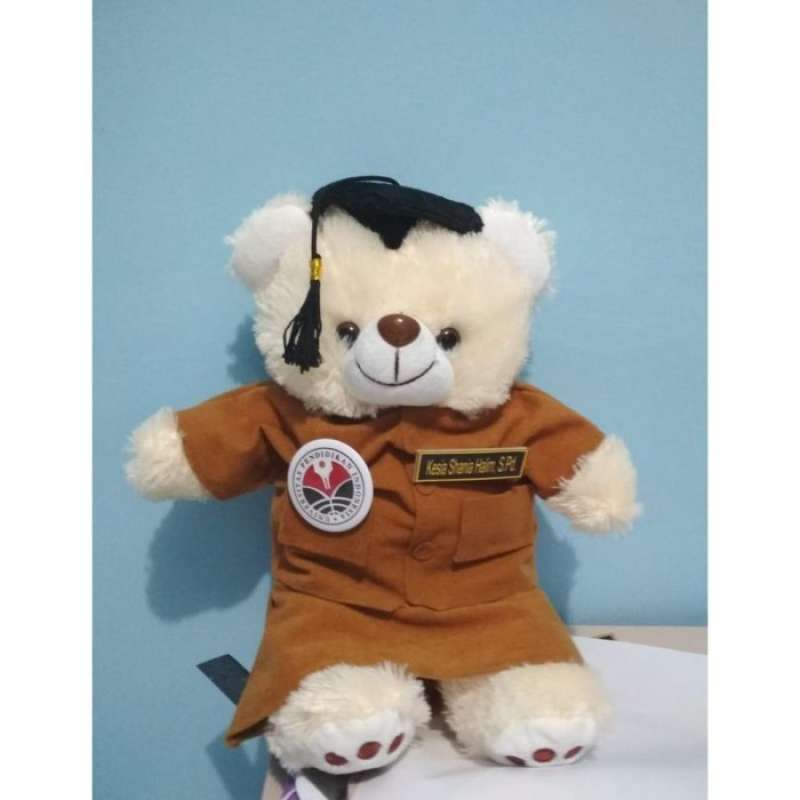 Promo Boneka Profesi Wisuda Kado Souvenir Hadiah Guru Pengajar Pendirik ...