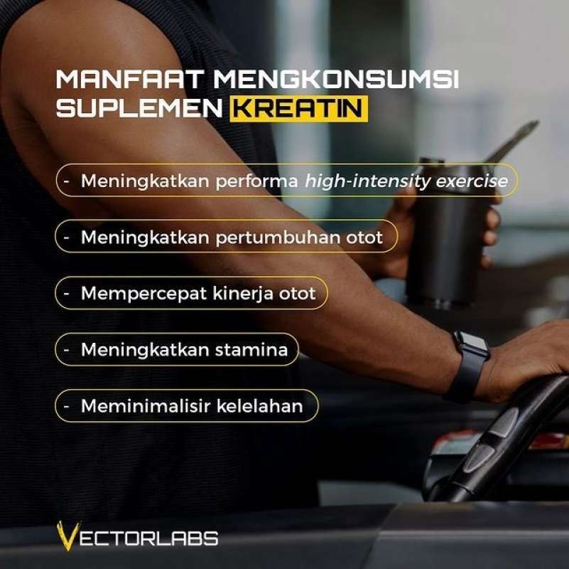 Promo Vectorlabs Master Cre 300 Gr Minuman Creatine Mastercre ...