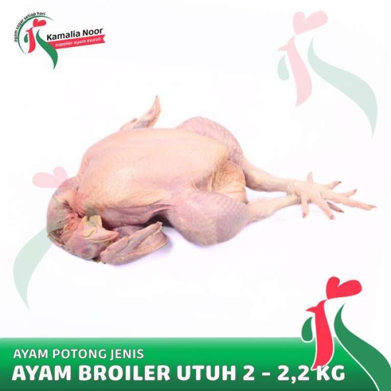 Promo Ayam Utuh Fresh 1,9 Kg - 2,2 Kg ( Ayam Potong Tanpa Bulu ) Bukan ...