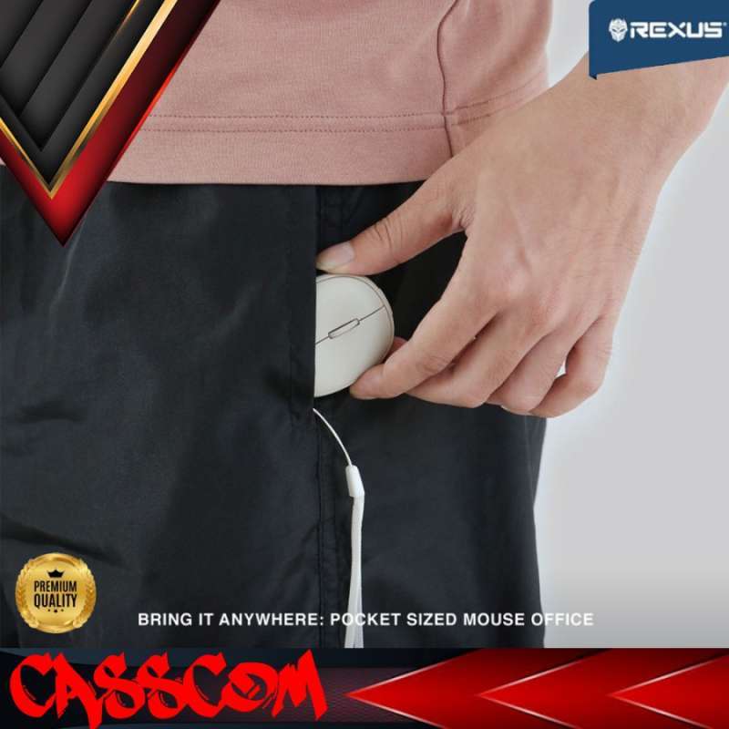 Jual Rexus Pico Pm100 Laser Pointer Mouse Office Pm-100 Dual Connection ...