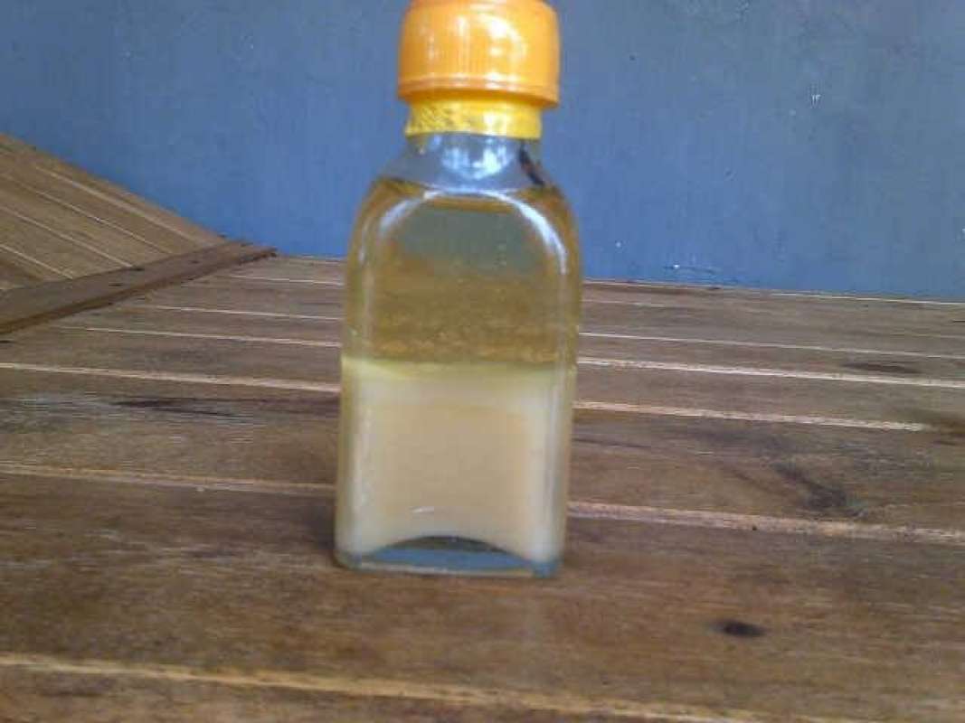 Jual Minyak Bulus 25 Mili Liter Di Seller Pro-id - Cengkareng Timur ...