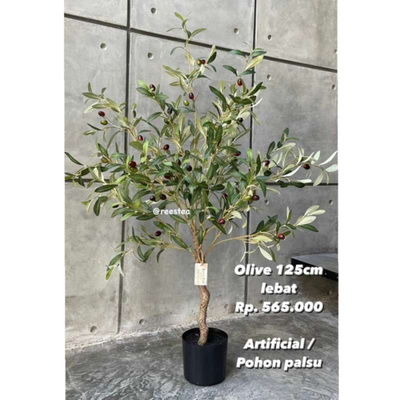 Jual Pohon Olive / Zaitun Tinggi 125cm / Pohon Artificial - 125 Mdl ...