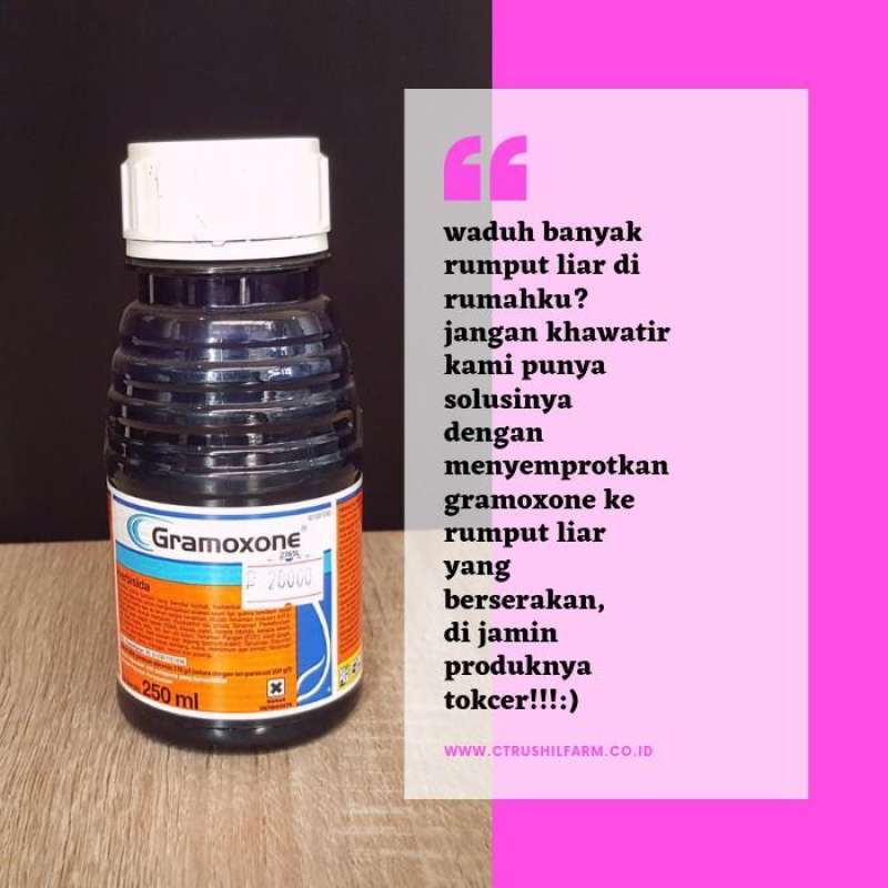 Jual Gramoxone 250ml (pembasmi Rumput) Di Seller Citrushill ...