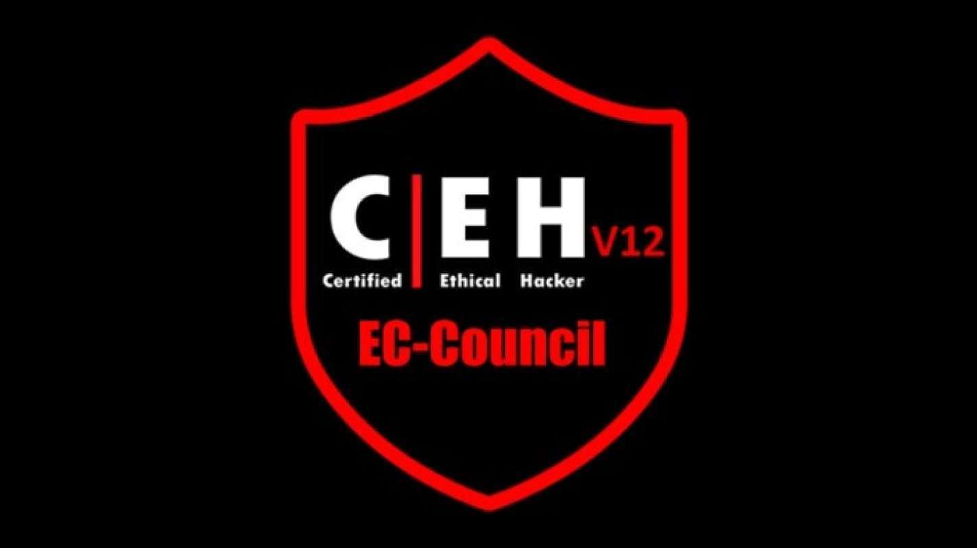 Jual Ceh V12 Course, Lab, Dan Video Material 2023 Di Seller Circlet ...