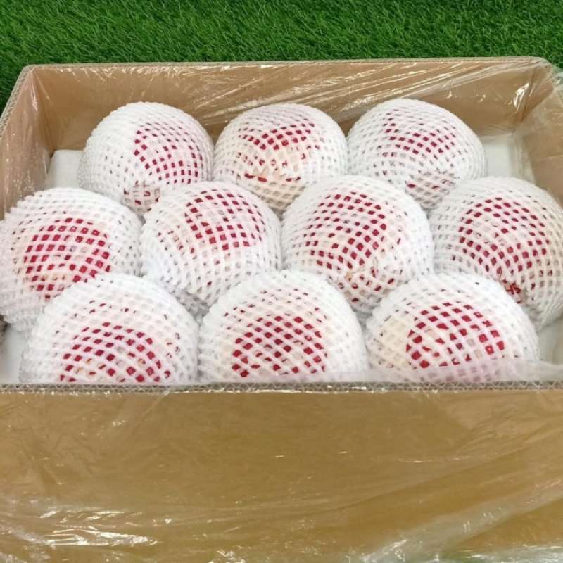 Promo Buah Pier Singo Korea 2kg Segar Diskon 23% Di Seller Nishimu ...