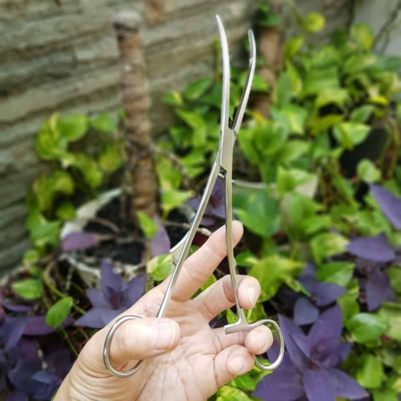 Jual Capitan Tikus / Pinset / Gunting / Jepitan / Tong Stainless Steel ...