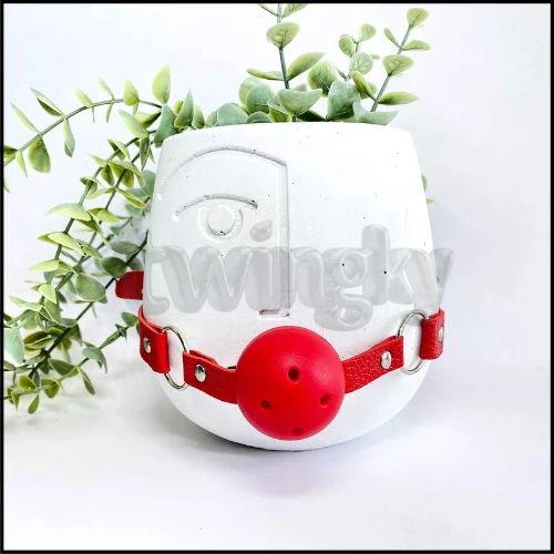 Silicone Mouth Gag Gratis Ongkir 🔥 Harga Murah Juni 2026