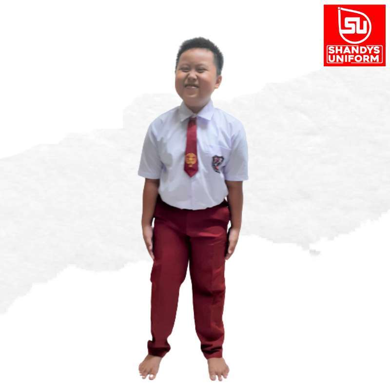 Promo Shandys Uniform I Setelan Seragam Sekolah SD Negeri Lengan Pendek ...