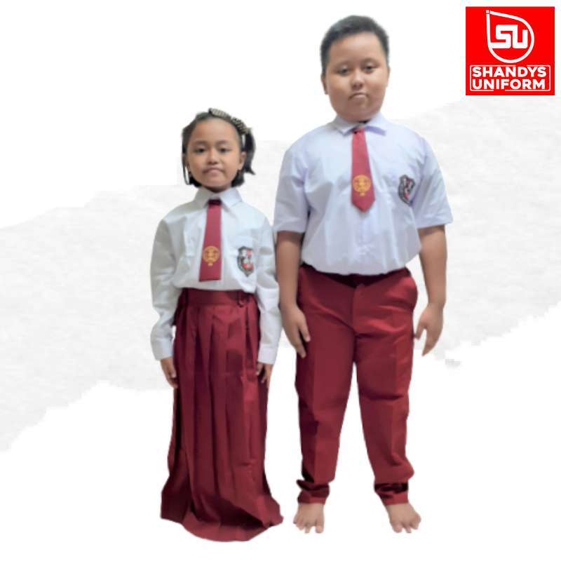 Promo Shandys Uniform I Setelan Seragam Sekolah SD Negeri Lengan Pendek ...