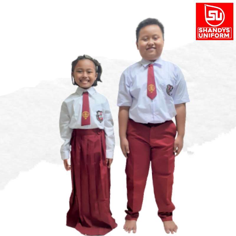 Promo Shandys Uniform I Setelan Seragam Sekolah SD Negeri Lengan Pendek ...