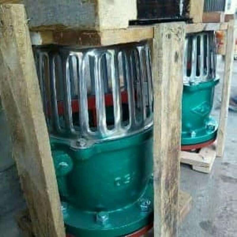 Jual Foot Valve Cast Iron Flange 10 Inch - Filter Stainless Steel Di ...