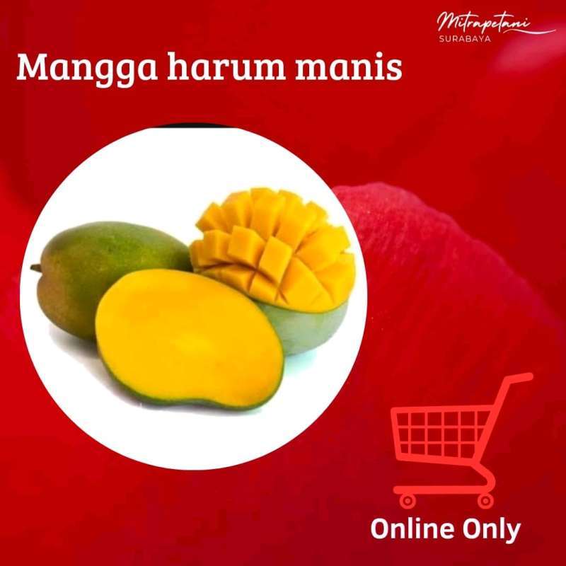 Jual Mangga Harum Manis, Mangga Harus Manis Fresh, Mangga Aromanis Di ...