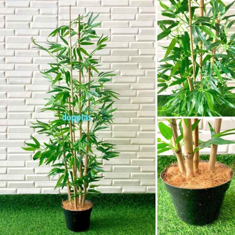 Promo Pohon Daun Bambu Hijau Kuning Latex Sabut Kelapa Pot Dasar ...