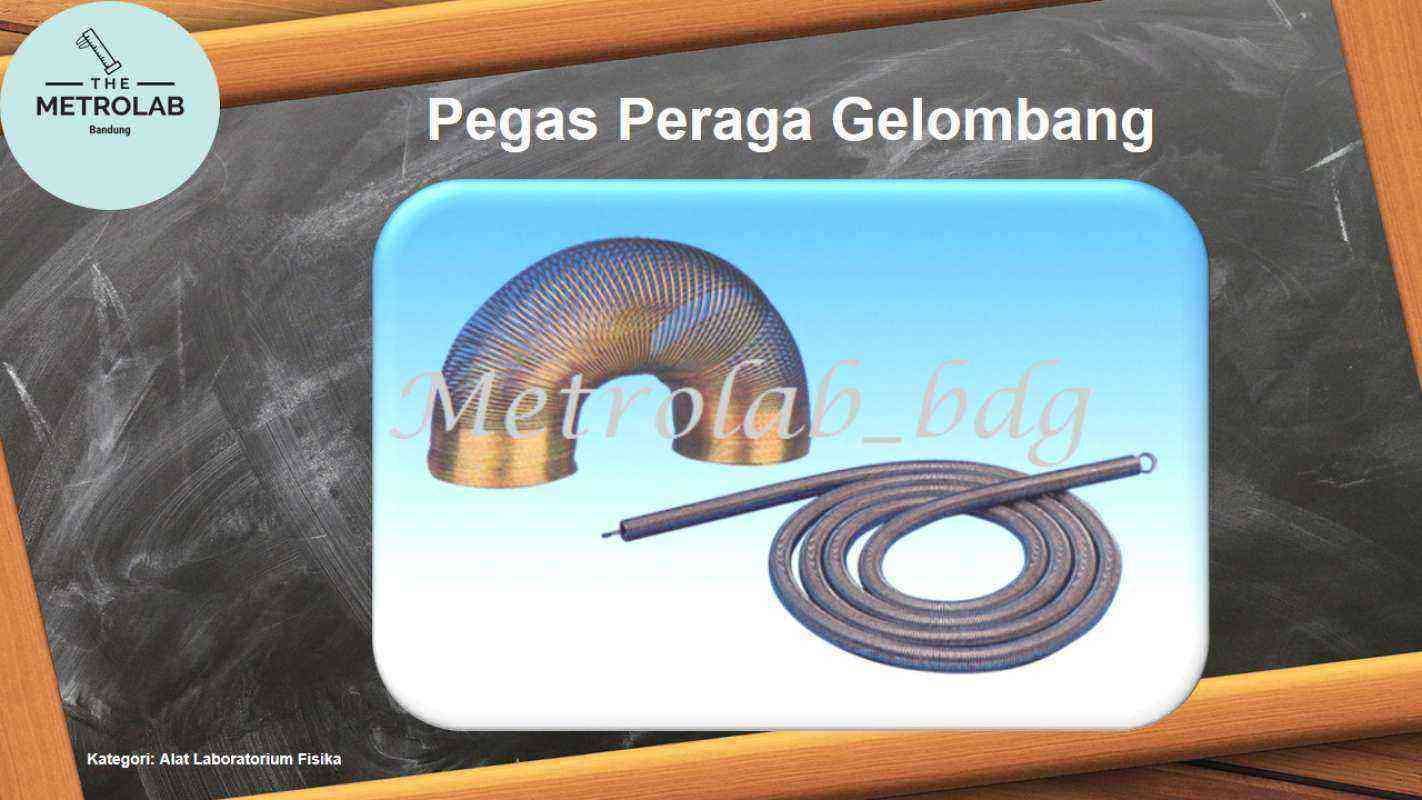 Jual Pegas Peraga Gelombang | Wave Demonstrator Spring Di Seller ...