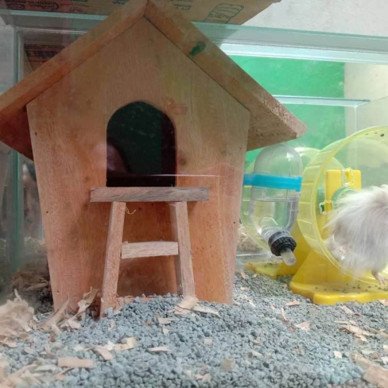 Jual Rumah Hamster Kayu Besar Di Seller Fuzzi Store - Meruya Selatan ...