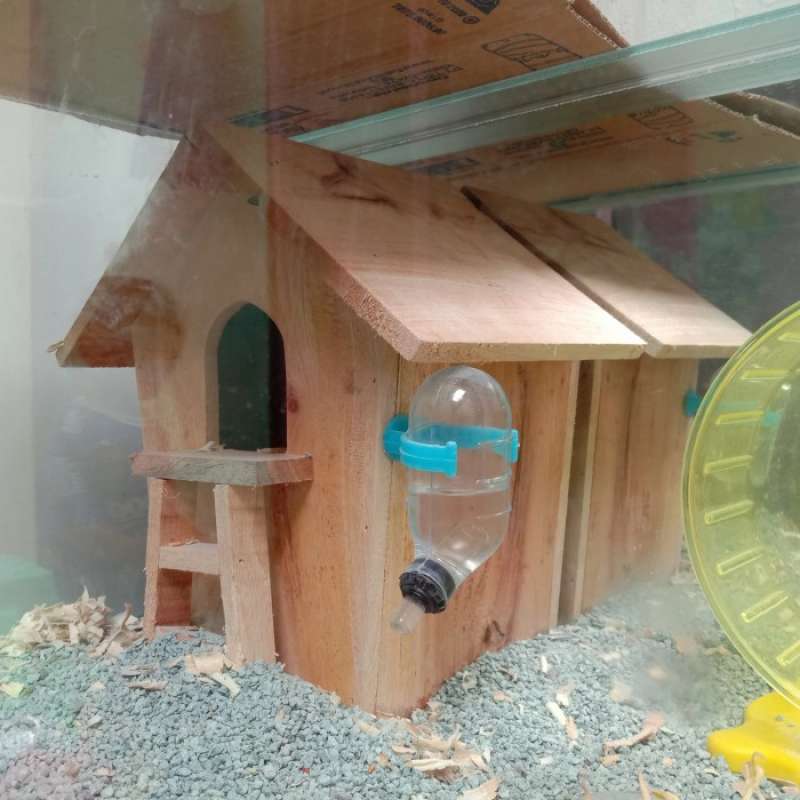 Jual Rumah Hamster Kayu Besar Di Seller Fuzzi Store - Meruya Selatan ...