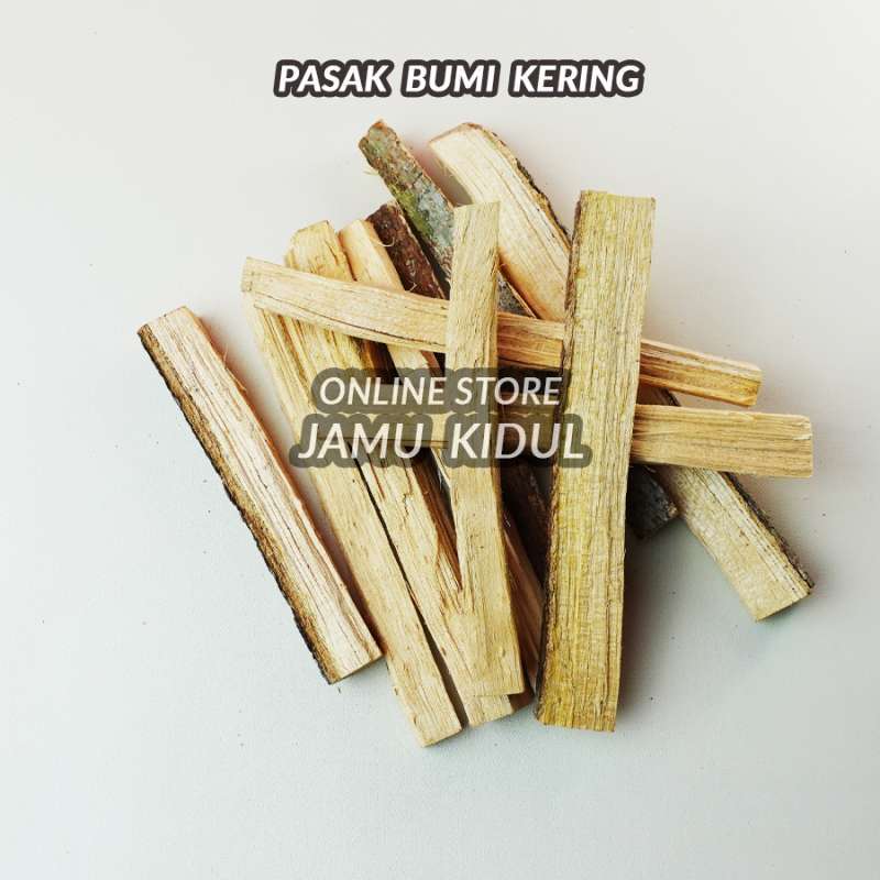 Jual Pasak Bumi Atau Tongkat Ali Kering 250 Gr Asli Hutan Di Seller ...