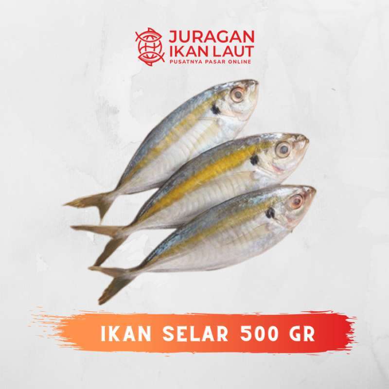 Jual Ikan Selar Segar Fresh Berkualitas - 500 Gram Di Seller Juragan ...