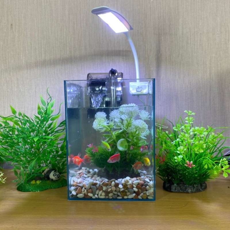 Promo Aquarium Desktop Aquarium Cupang Aquarium mini Aquascape ...