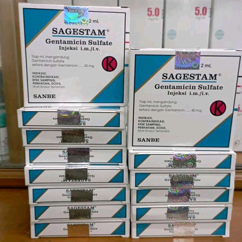 Jual Terbarusagestam 40 Mg Injeksi Per Box Di Seller Apotek Balanak ...