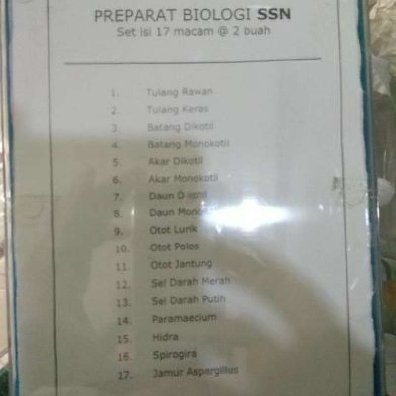 Promo Preparat Biologi Ssn 1 Set 17 Macam Peraga Laboratorium Diskon 17 ...