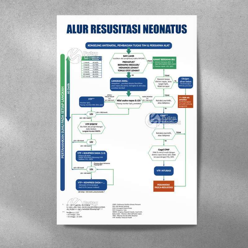 Jual Poster Kesehatan Alur Resusitasi Neonatus A3+ / Gambar Edukasi ...