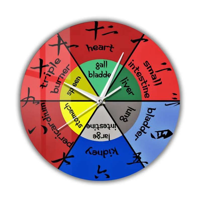 Promo Acupuncture And Chinese Medicine Organ Health Chart Clock For ...