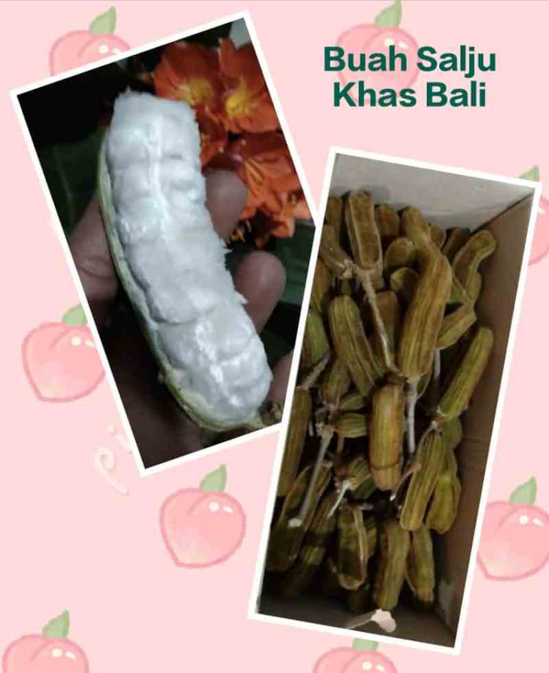 Jual Buah Salju Fresh 1 Kg Asli Bedugul Bali Di Seller King Fatih Shop ...