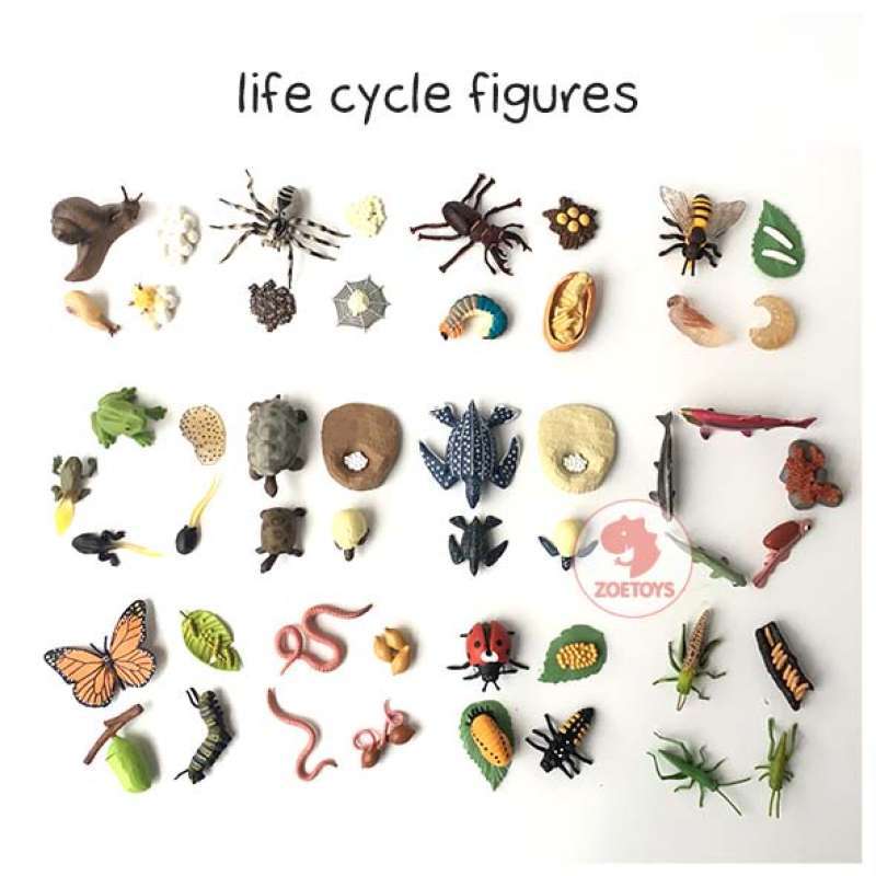 Jual Zoetoys Life Cycle Figures Set | Tray | Miniatur Animal of Ant Bee ...