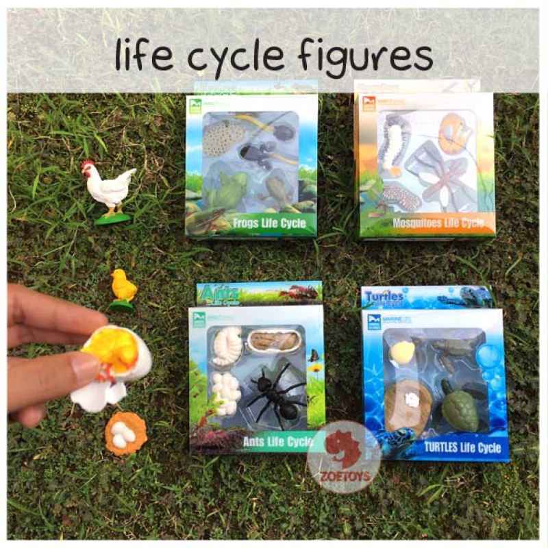 Jual Zoetoys Life Cycle Figures Set | Tray | Miniatur Animal of Ant Bee ...