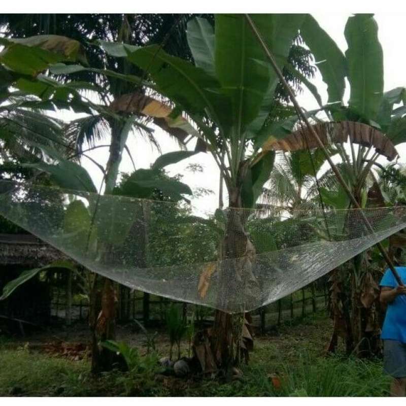 Jual Tangkul / Anco / Hancau Penangkap Ikan Udang Bahan Senar 0.25 mm ...