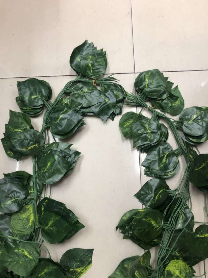 Promo Daun Rambat Srigading / Daun Artificial / Da24/lusin Diskon 33% Di Seller Olisestore ...