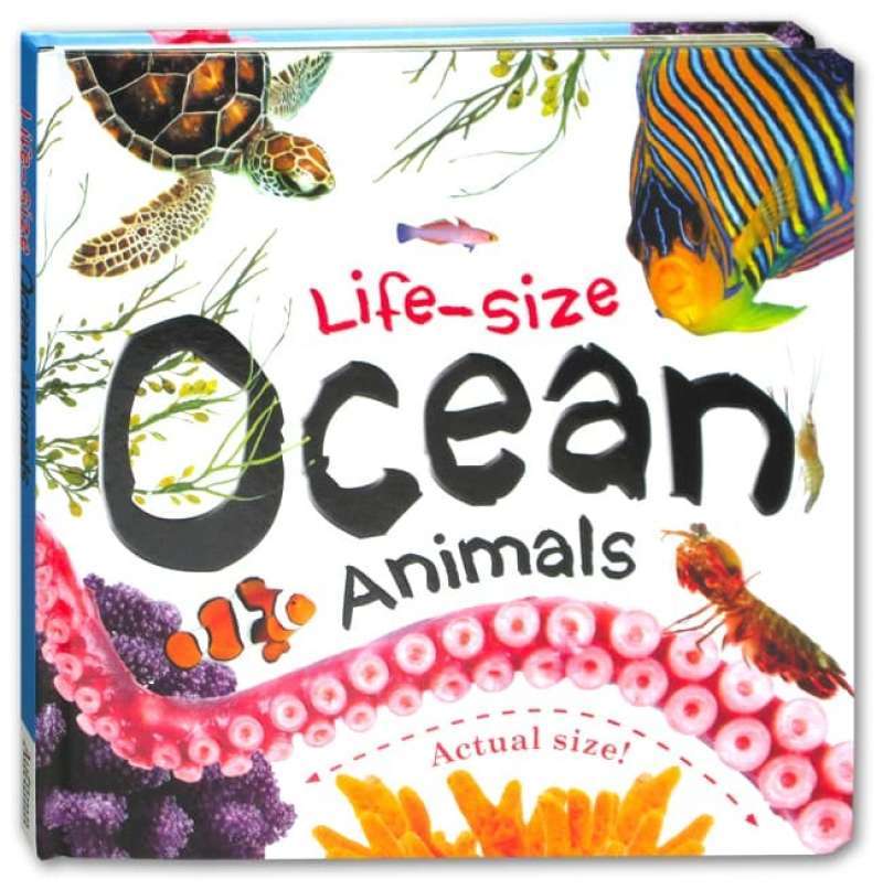 Promo Life-size Ocean Animals Board Book (actual Size!) Diskon 28% Di ...