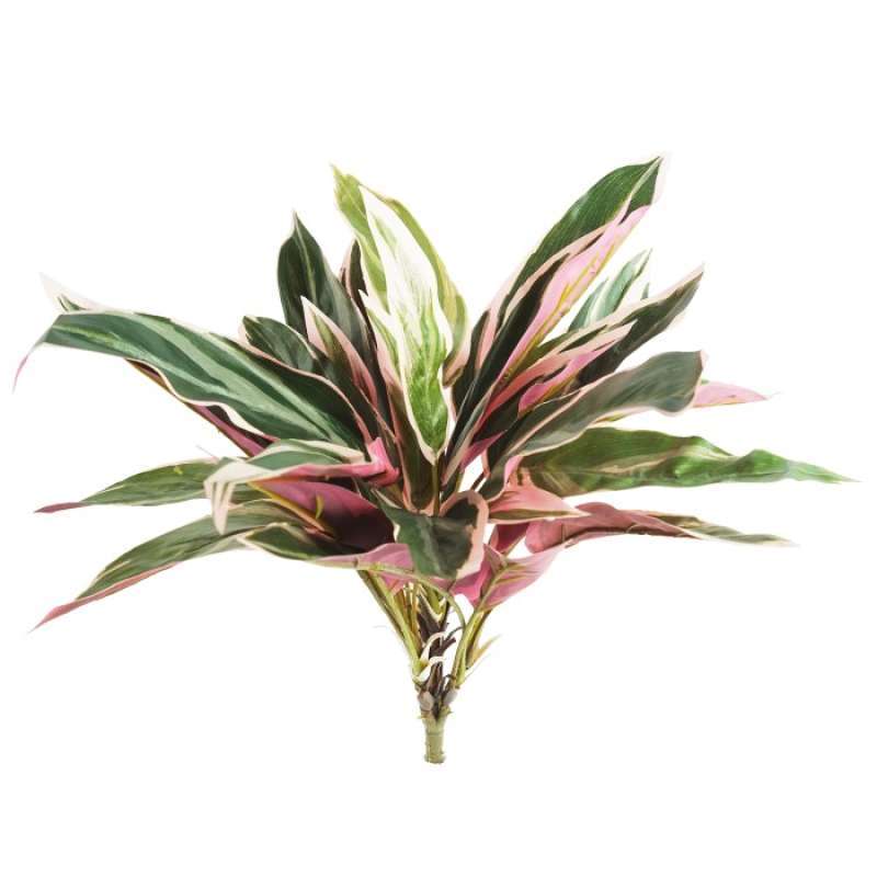 Promo DAUN / DAUN HIAS/ DAUN IMPORT ARTIFICIAL/ RED EDGE CORDYLINE X5 ...