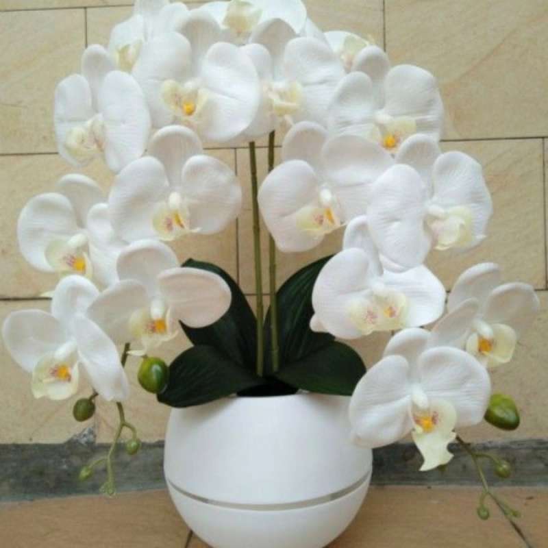 Promo Rangkaian anggrek latex latek Putih set pot 2 tangkai bunga ...
