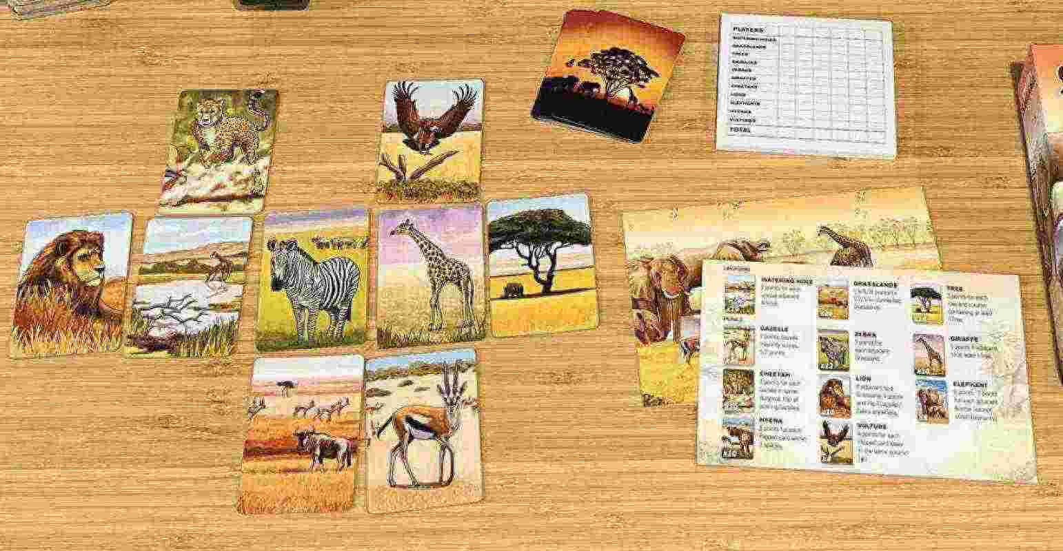 Jual Ecosystem Savanna Board Game di Seller Monopolis Board Game ...