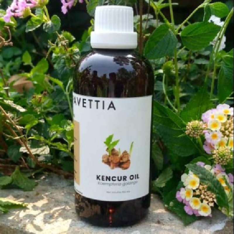 Jual 100 Ml - Minyak Atsiri Kencur / Kencur Essential Oil Di Seller ...