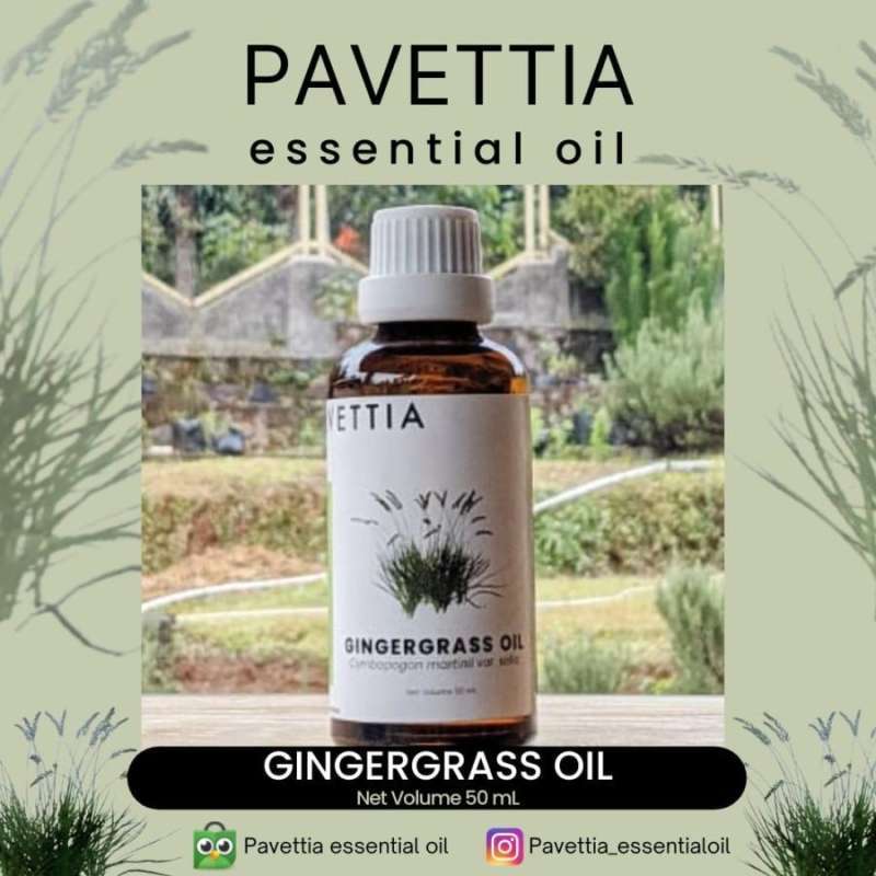 Jual 50 Ml - Minyak Atsiri Gingergrass / Gingergrass Essential Oil Di ...