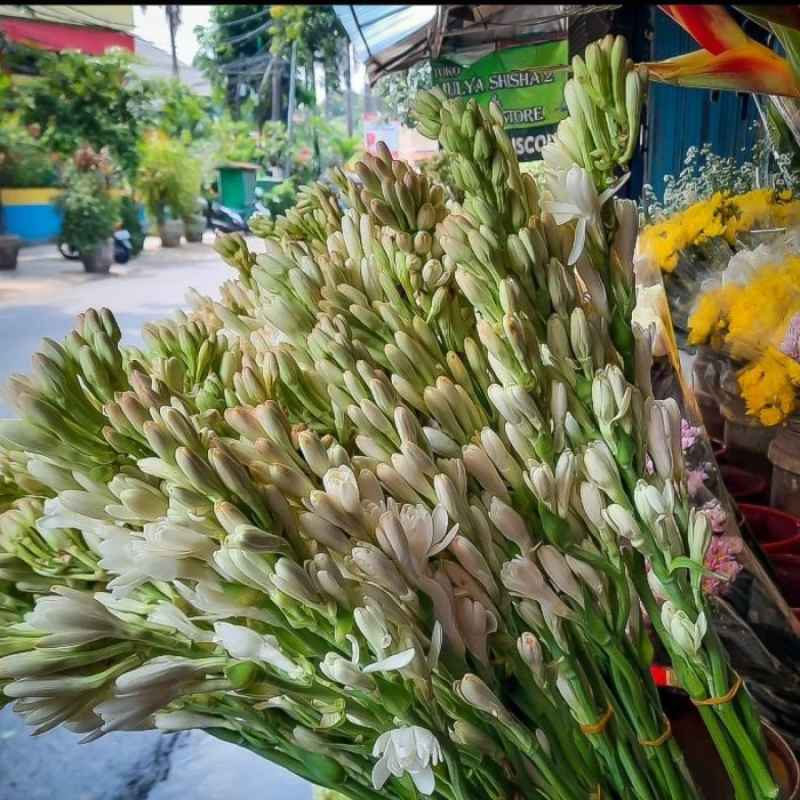 Jual Bunga Segar Per Ikat Termurah - Harga Grosir Terupdate Hari Ini ...