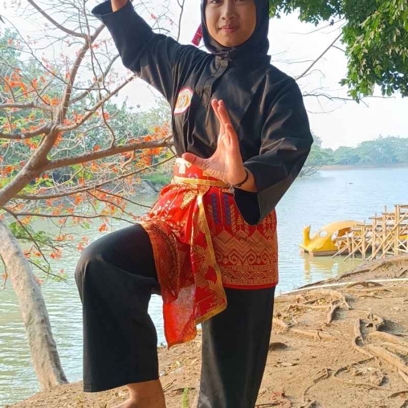 Jual Kain Seni Sembong Pencak Silat/acesoris Pencaksilat Di Seller ...