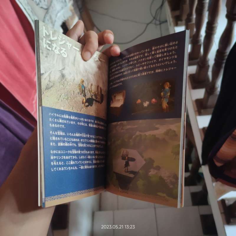Jual Rare Zelda Breath Of The Wild Botw Book Buat Collector Koleksi Di ...