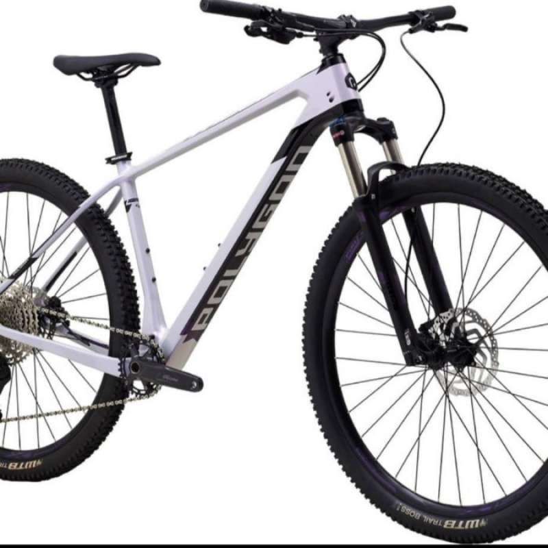 Promo Sepeda Gunung Mtb Frame Carbon Xc Polygon Syncline C2 Tahun 2021 ...