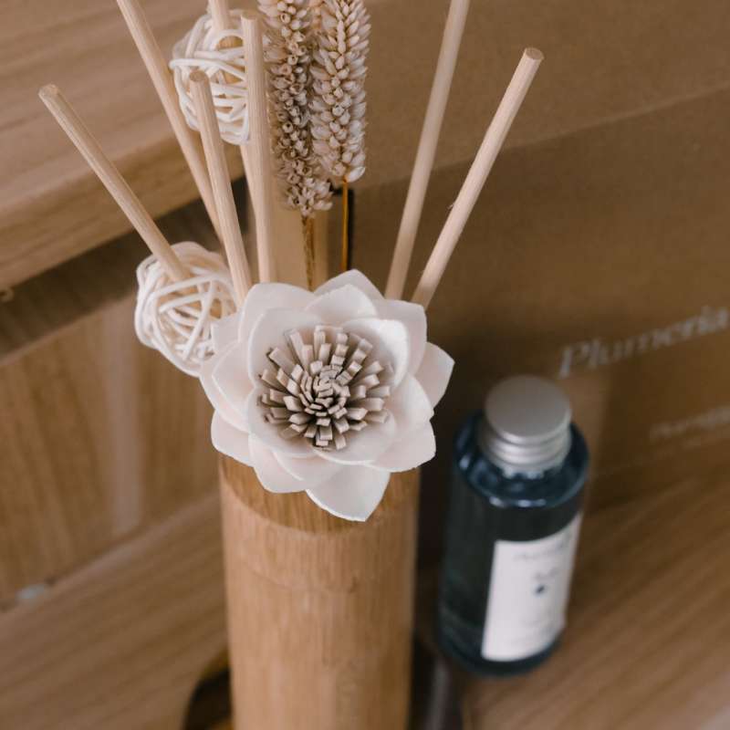 Jual Plumeria Scent Bamboo Reed Diffuser - Sejuk (peppermint ...