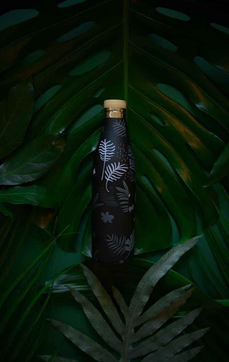 Jual Sigg Tumbler Botol Minum Meridian Sumatra Tiger 500 Ml Di Seller ...