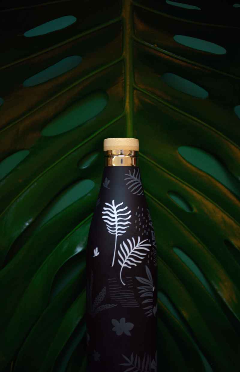 Jual Sigg Tumbler Botol Minum Meridian Sumatra Tiger 500 Ml Di Seller ...