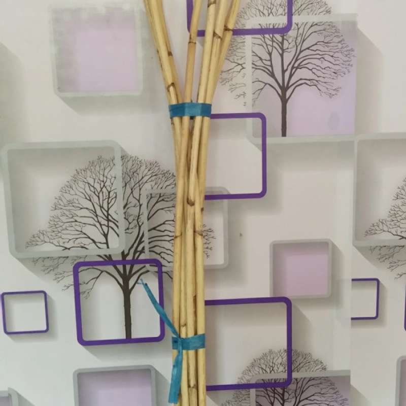 Jual Tali Rotan -stik Rotan Kulit Grade Ab Panjang 5meter 12mm Bulat Di ...