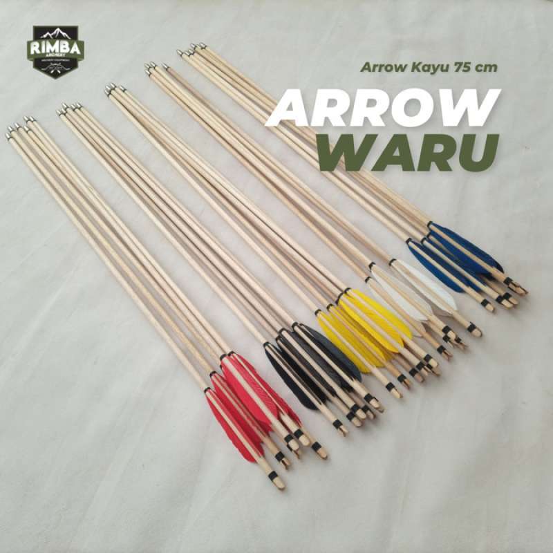 Jual Arrow Waru Vanes Entok / Arrow Kayu Waru Isi 6pcs / Archery ...