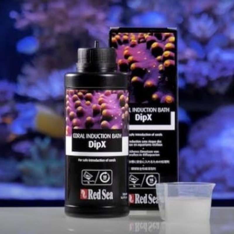 Promo Red Sea Dipx Coral Dip 500ml Diskon 23% Di Seller Siba Store ...
