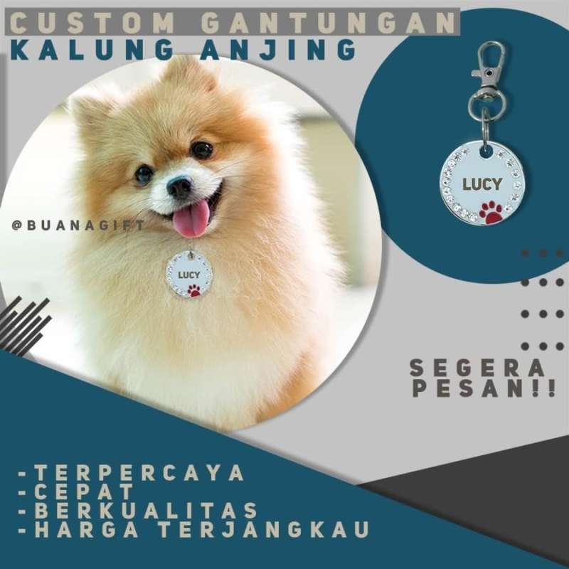 Jual Liontin Dog 🏷️ Model Premium Original Terbaru & Harga Murah ...