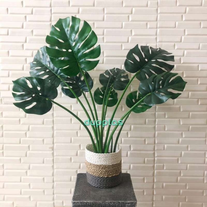 Promo Pohon Daun Monstera T1m Latex Cover Pot Anyaman Seagrass ...